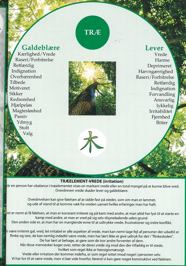 Meridianer og de 5 elementer - let fortalt | Primstaven nettbokhandel