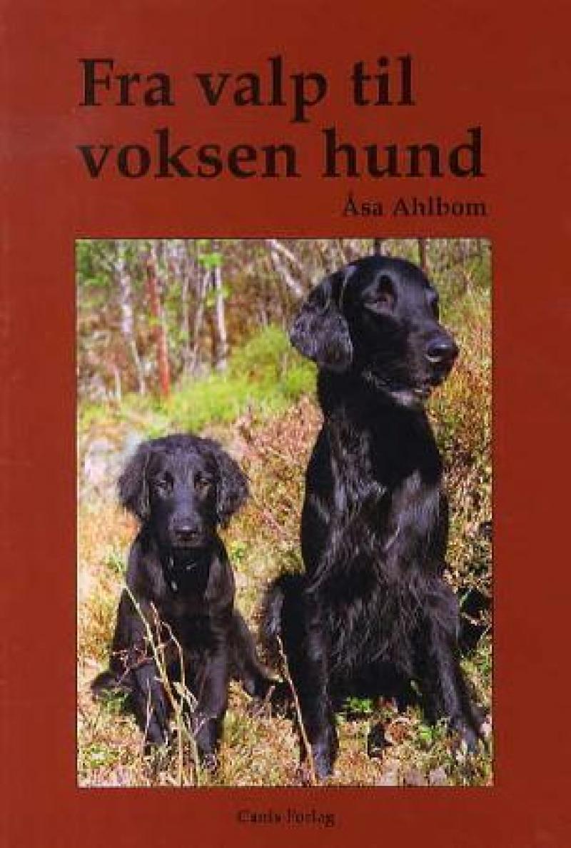 Fra valp til voksen hund | Primstaven nettbokhandel